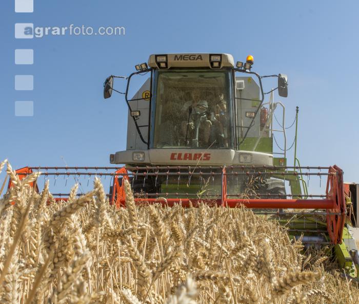 Bilder & Fotos aus Landwirtschaft & Natur, Videos, Stock Footage ...